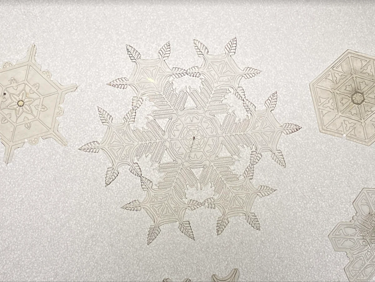 World's first accurate models of snow crystals on display at Nova ...