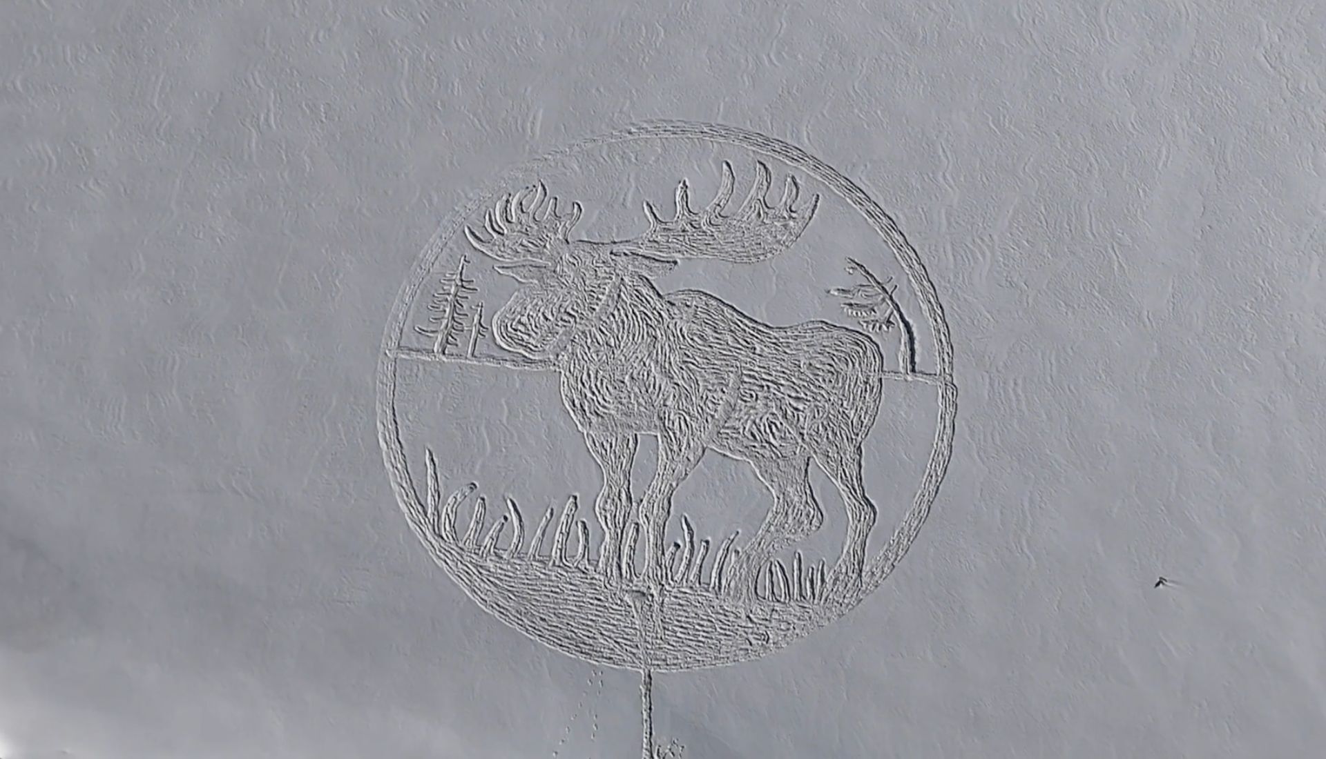 A moose crafted in snow: The ultimate Canadian creation! - The Weather ...