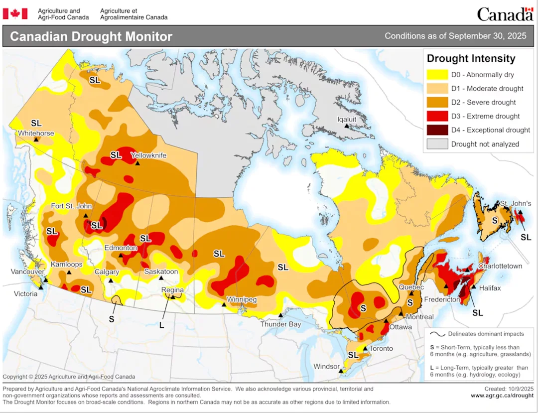 New Brunswick urges people to conserve water this winter as drought ...