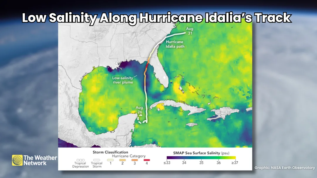 Rivers may fuel explosive strengthening of major hurricanes - The ...