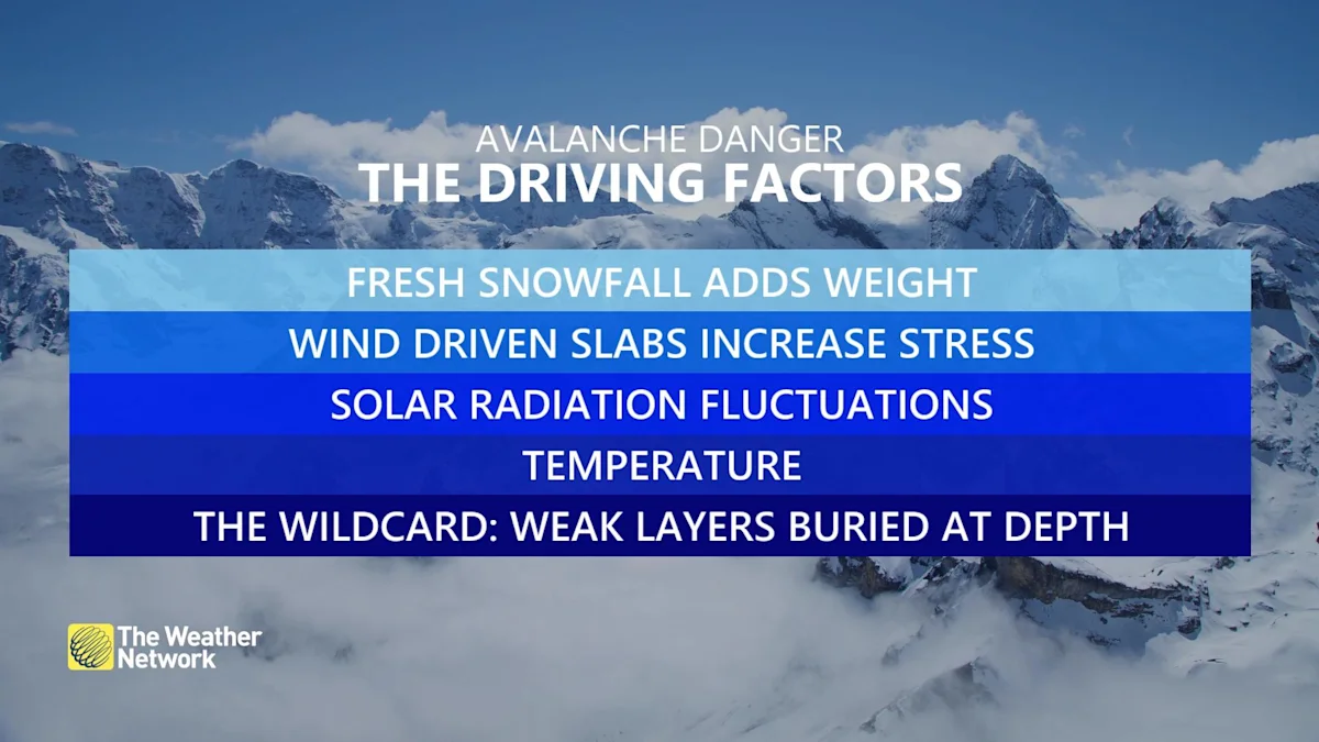 What is a sluff? These common slides spell danger in the mountains ...