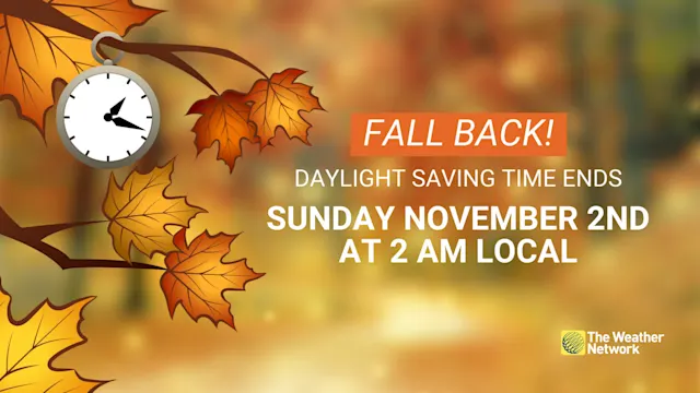 FALL BACK: Let's set the record straight on daylight saving time - The ...