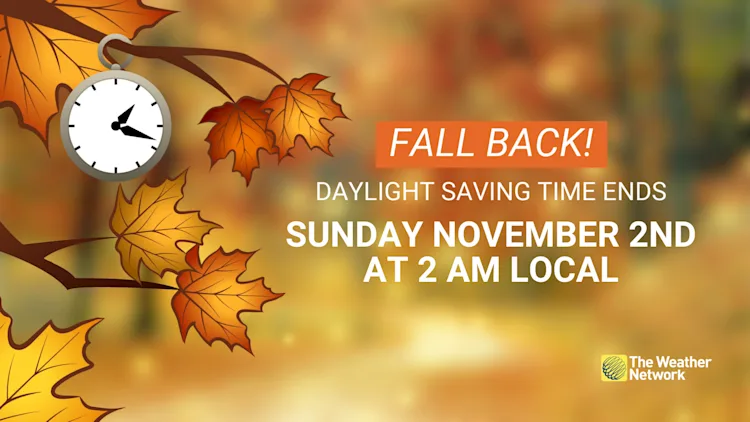 Clocks will 'fall back' in a few weeks. Here's what you need to know ...