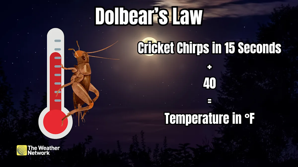 Do these six nuggets of weather folklore actually hold water? - The ...