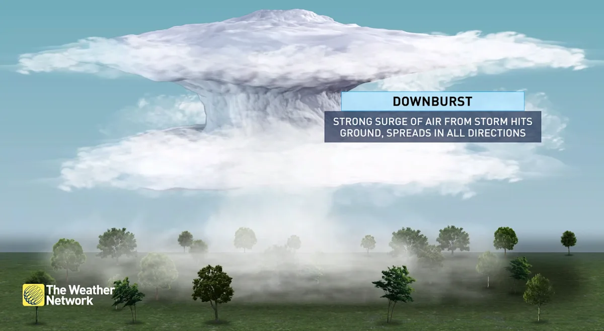 Microbursts can turn a gentle storm into a harrowing ordeal - The ...