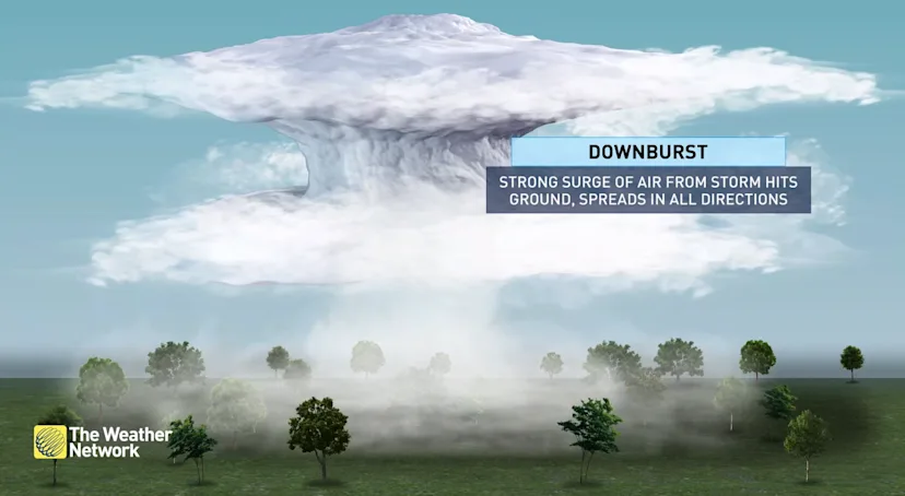 Microbursts can turn a gentle storm into a harrowing ordeal - The ...