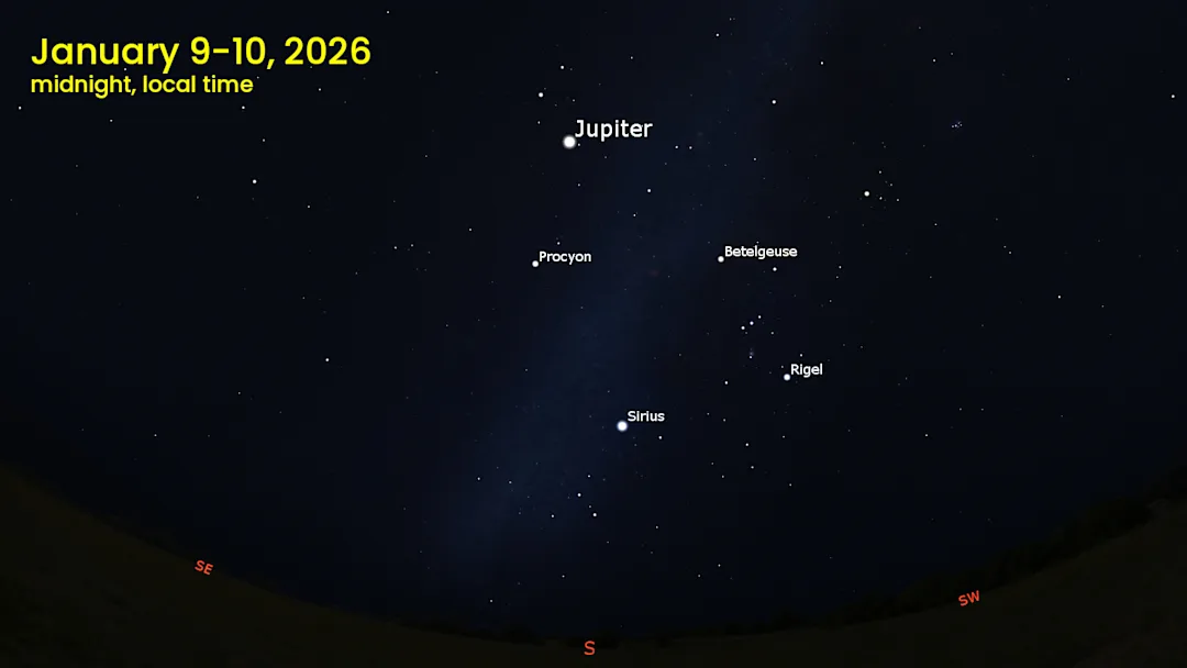 Jupiter shines at its brightest for the next 7 years - The Weather Network