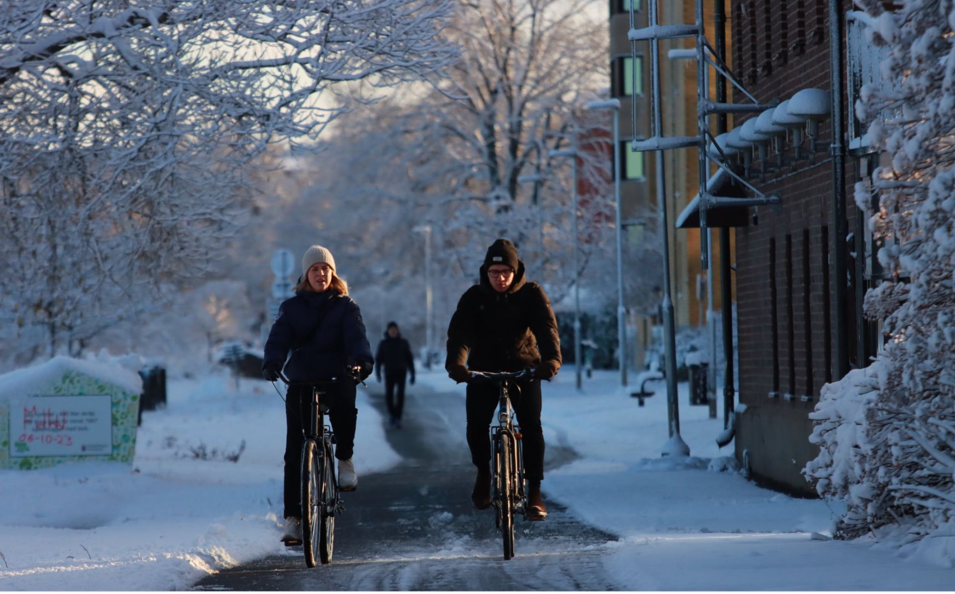 Conquer winter biking effortlessly with simple modifications - The ...