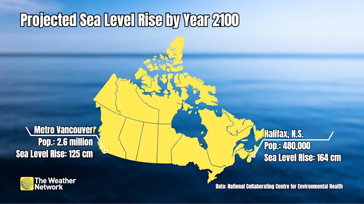 Sea level rise threatens millions of Canadians by 2100, study finds ...