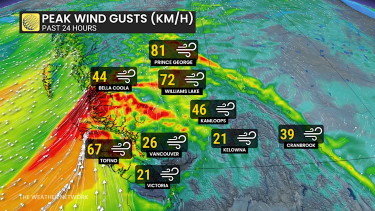 Strong fall storm hits B.C. and threatens outages, travel impacts - The ...