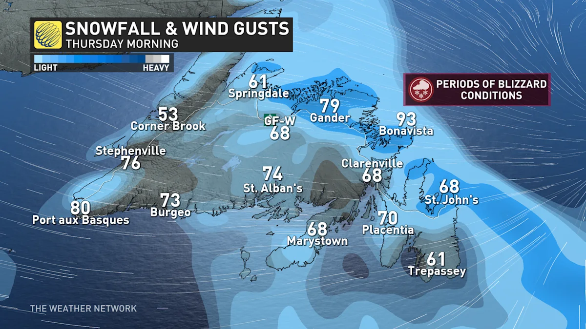 Newfoundland sees more snow as nor'easter continues winter wallop - The ...