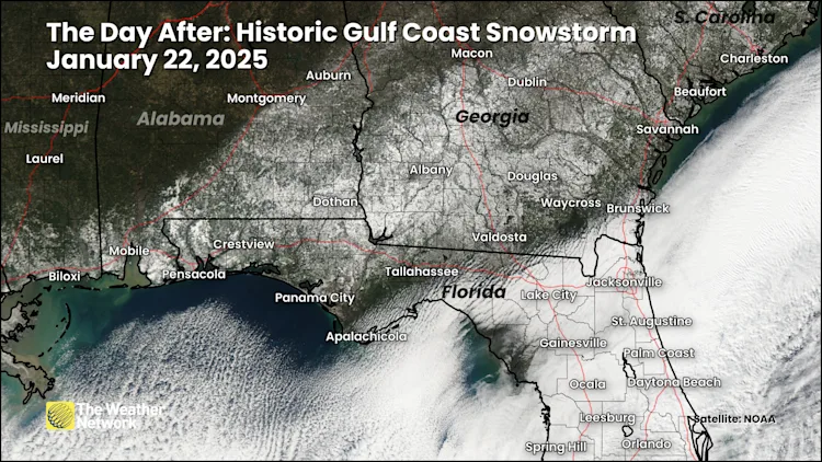 Snow in Florida? The rare storms that hit the Sunshine State - The ...