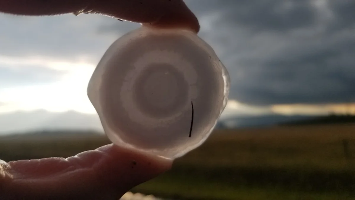 How does hail get so big? - The Weather Network