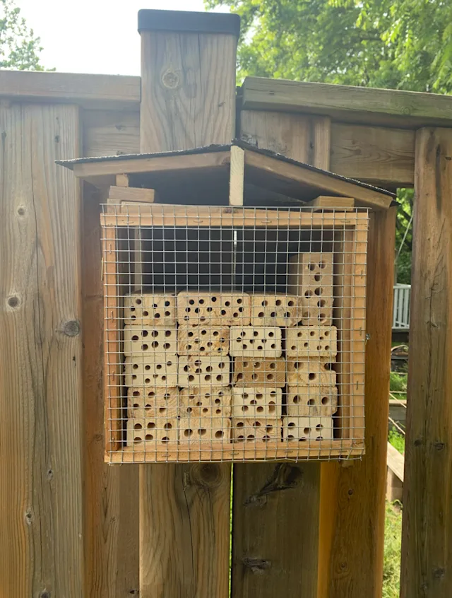 Bee hotels: What they are and how to make one - The Weather Network