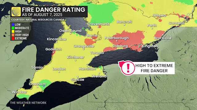Summer drought puts GTA among the highest fire danger risk in Canada ...