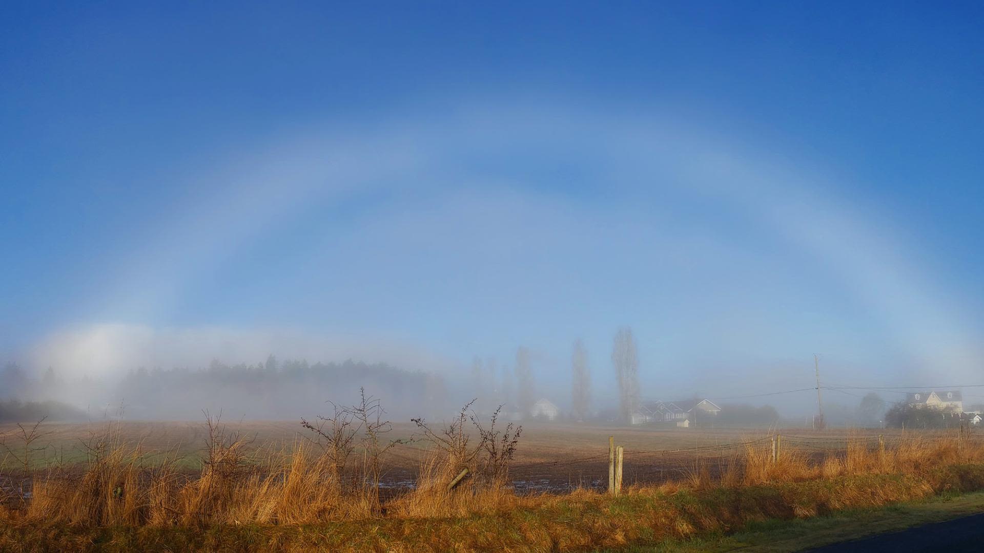 Vancouver Island's mysterious fogbows revealed - The Weather Network