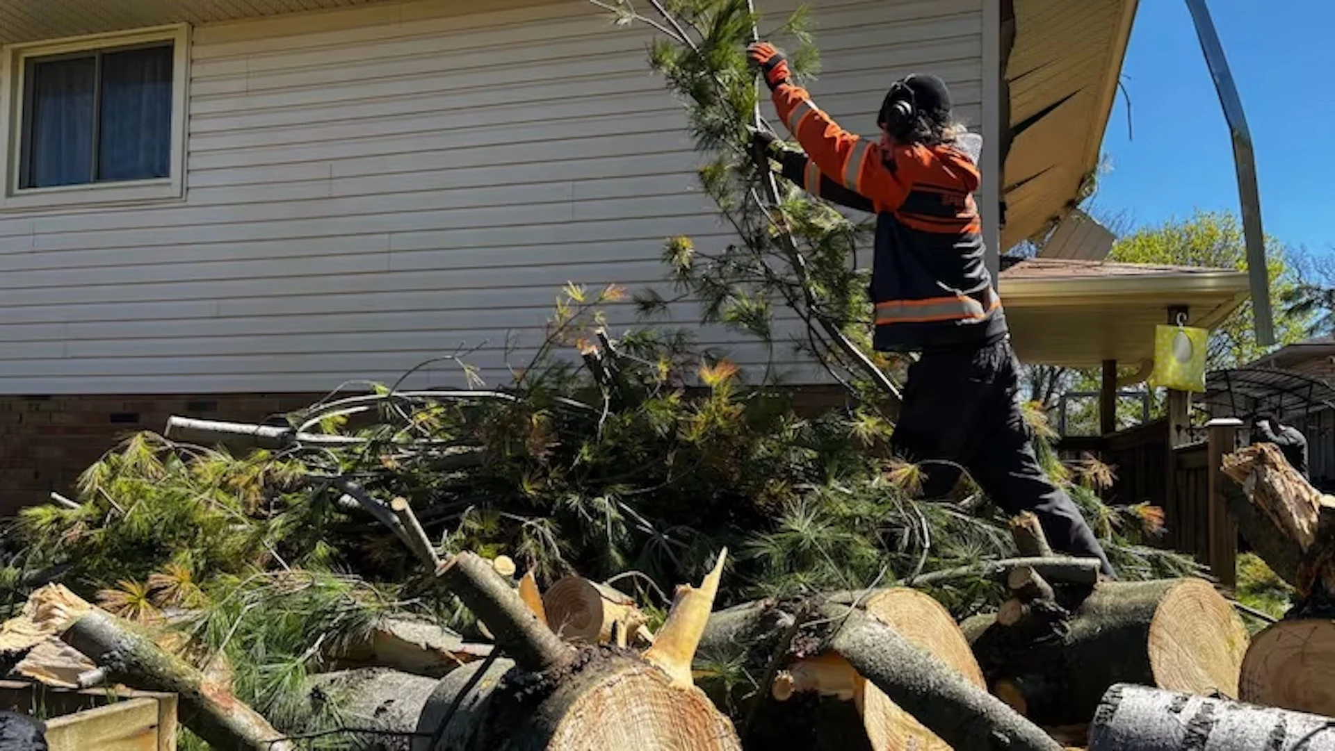 Crews busy cleaning up toppled trees after destructive London storm ...