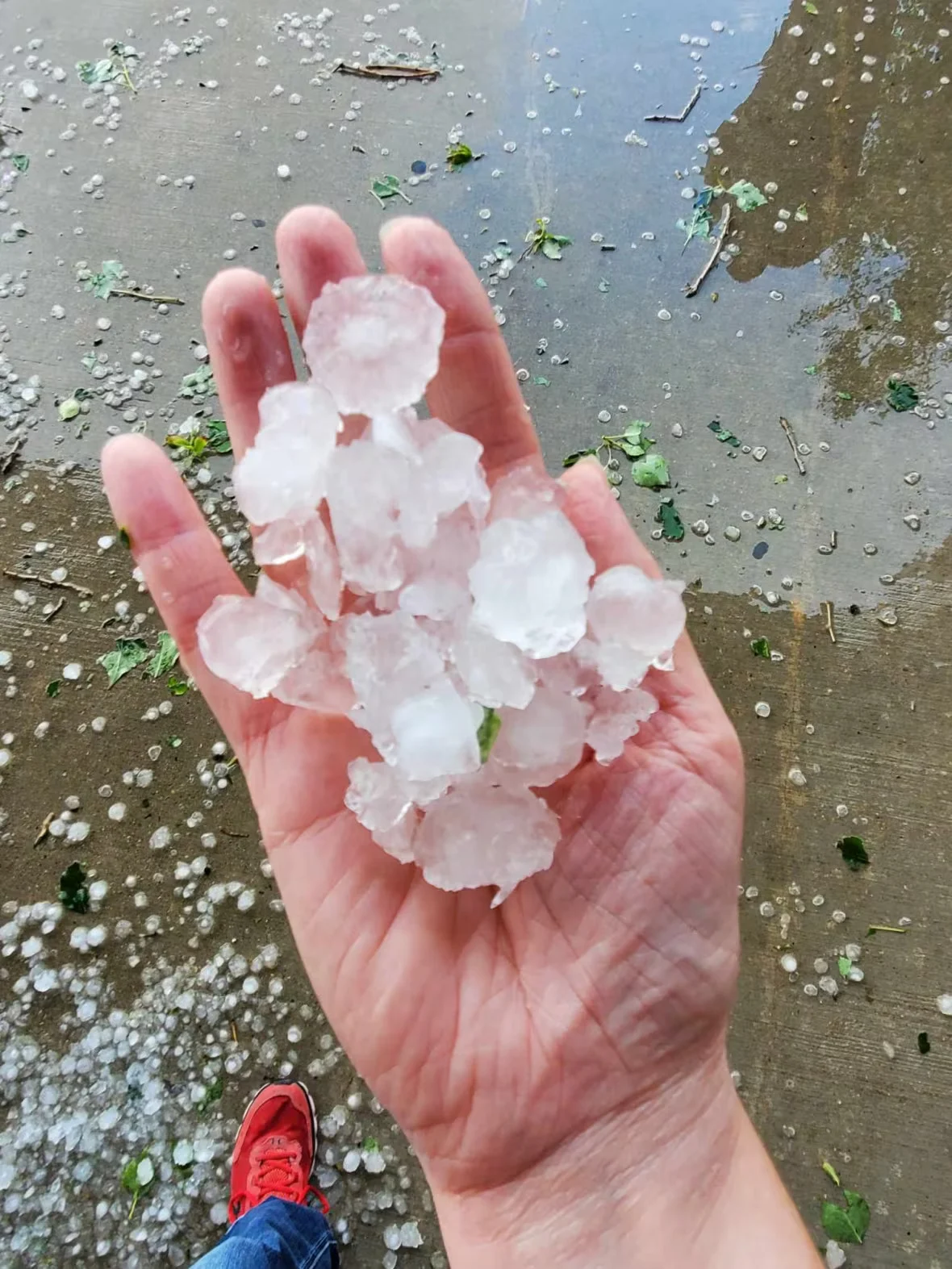 Evening storms bring hail, winds and downpours to Winnipeg, southern ...