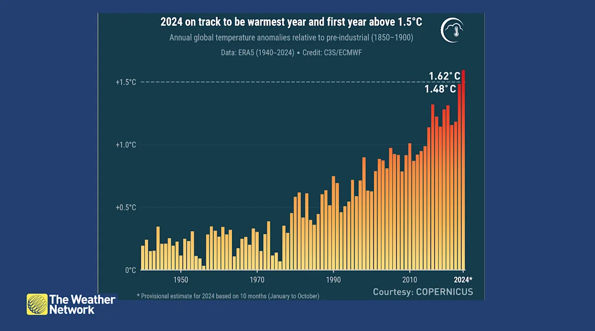 November extends global warming trend as 2024 set to be hottest year ...