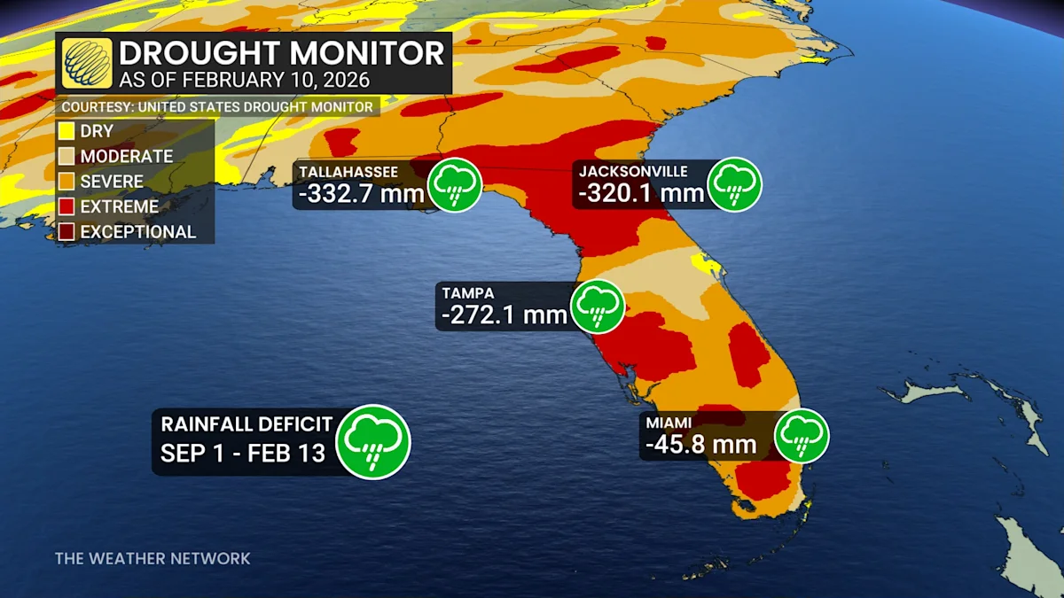 Florida parched as extreme drought grows across state - The Weather Network