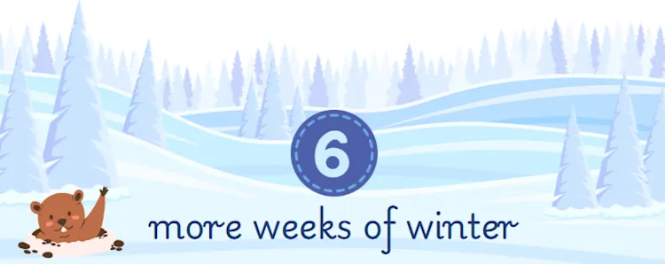 2025 Groundhog Day results: See them here! - The Weather Network