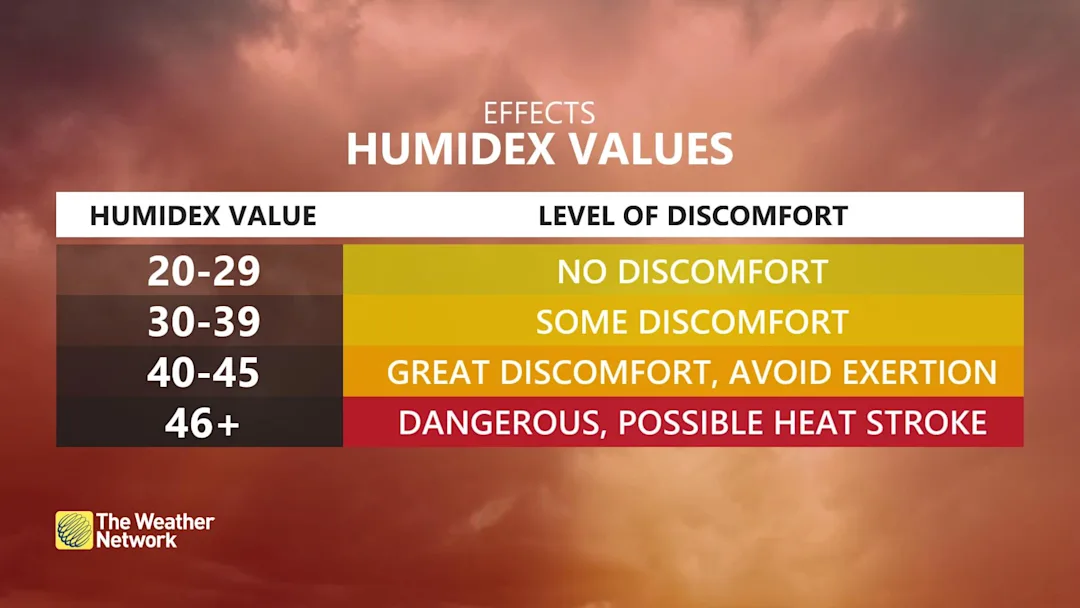 'Feel' miserable out? How our bodies react when humidex values soar ...