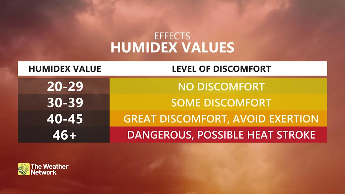 'Feel' miserable out? How our bodies react when humidex values soar ...