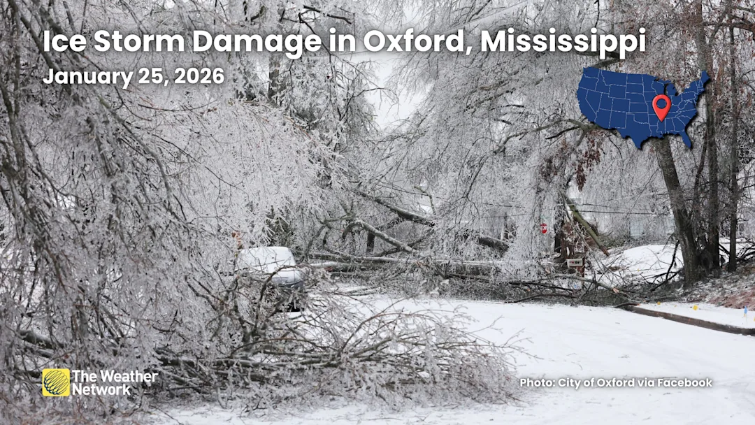 200,000+ outages remain almost a week after devastating ice storm - The ...