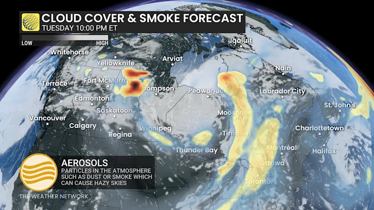 Look up for meteors! The Perseids peak tonight - The Weather Network