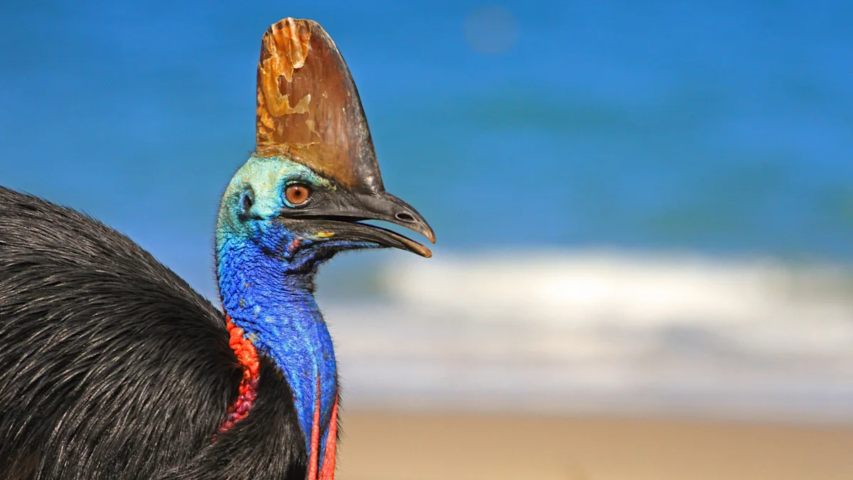 It turns out the world's most dangerous bird can swim, too - The ...