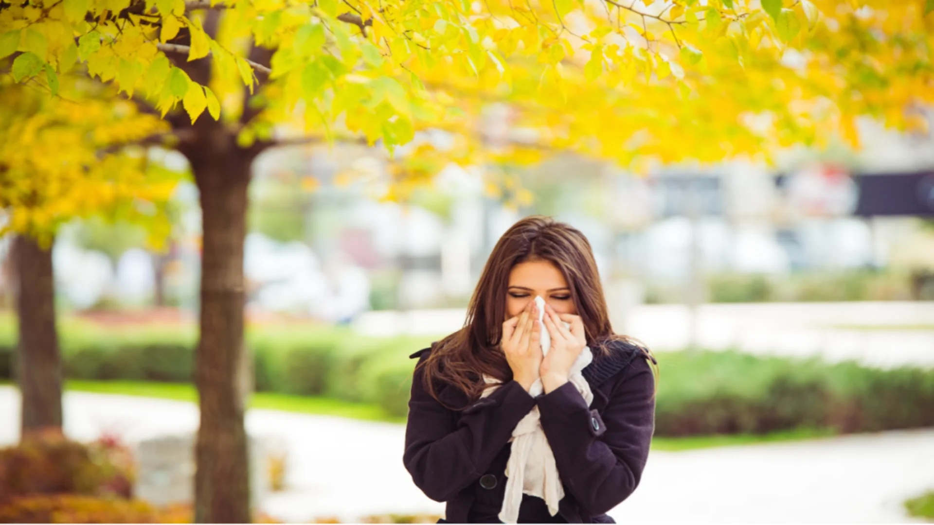 Seasonal allergies seem worse this year. Experts explain why it may ...