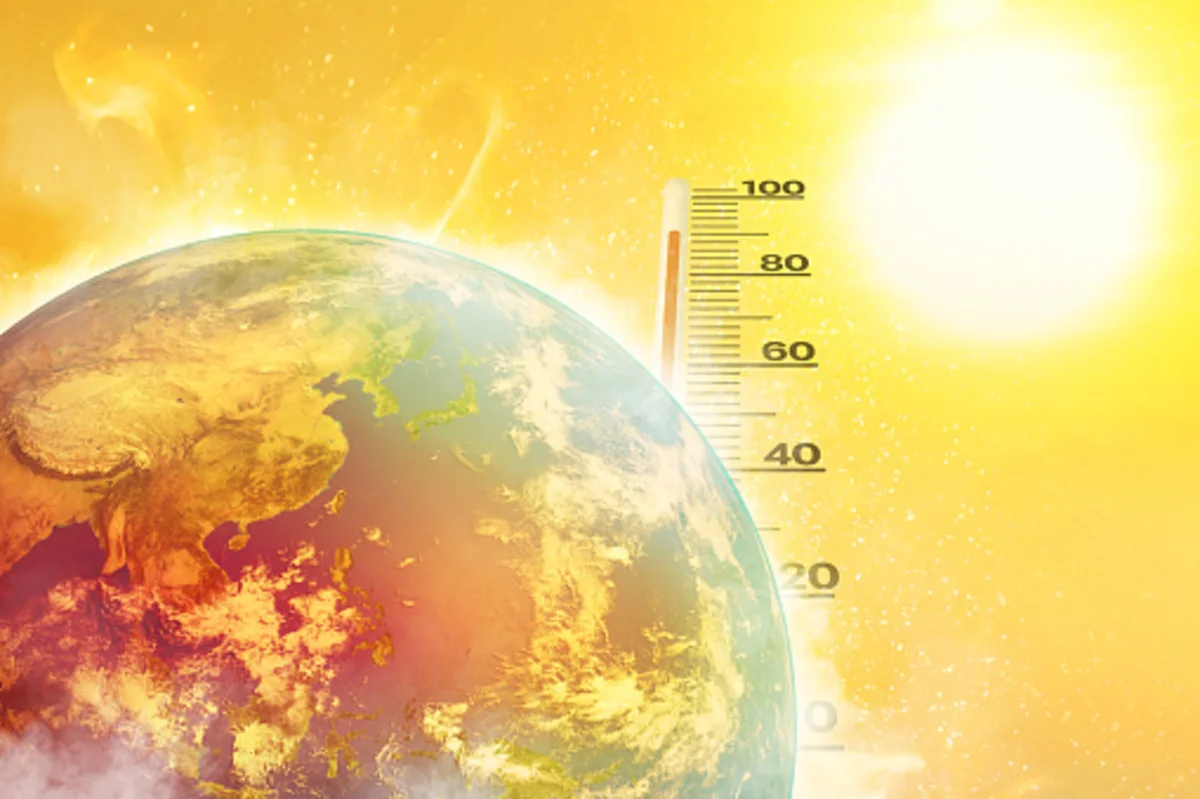 2024 is the new hottest year on record, first year to exceed 1.5C - The ...