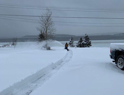 Blustery winds, 30+cm of snow to kick off spring in Newfoundland - The ...