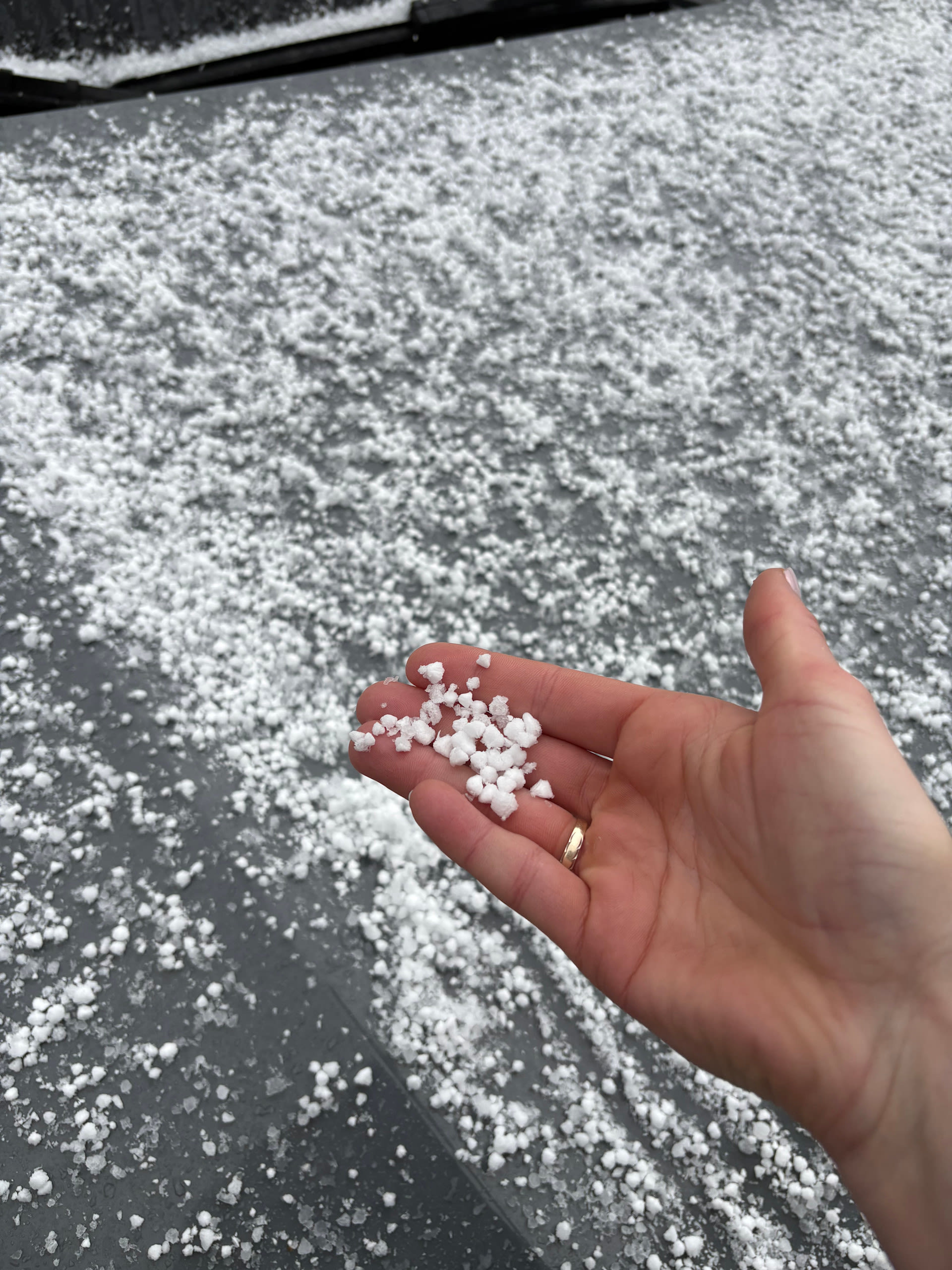 Avez-vous vu cette neige? Ce n’est pas ce que vous pensez. - MétéoMédia