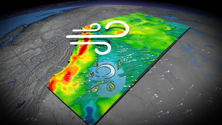 Powerful winds whip into Alberta, warnings widespread - The Weather Network