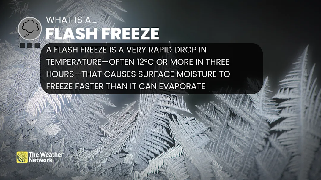 What is a flash freeze? - The Weather Network