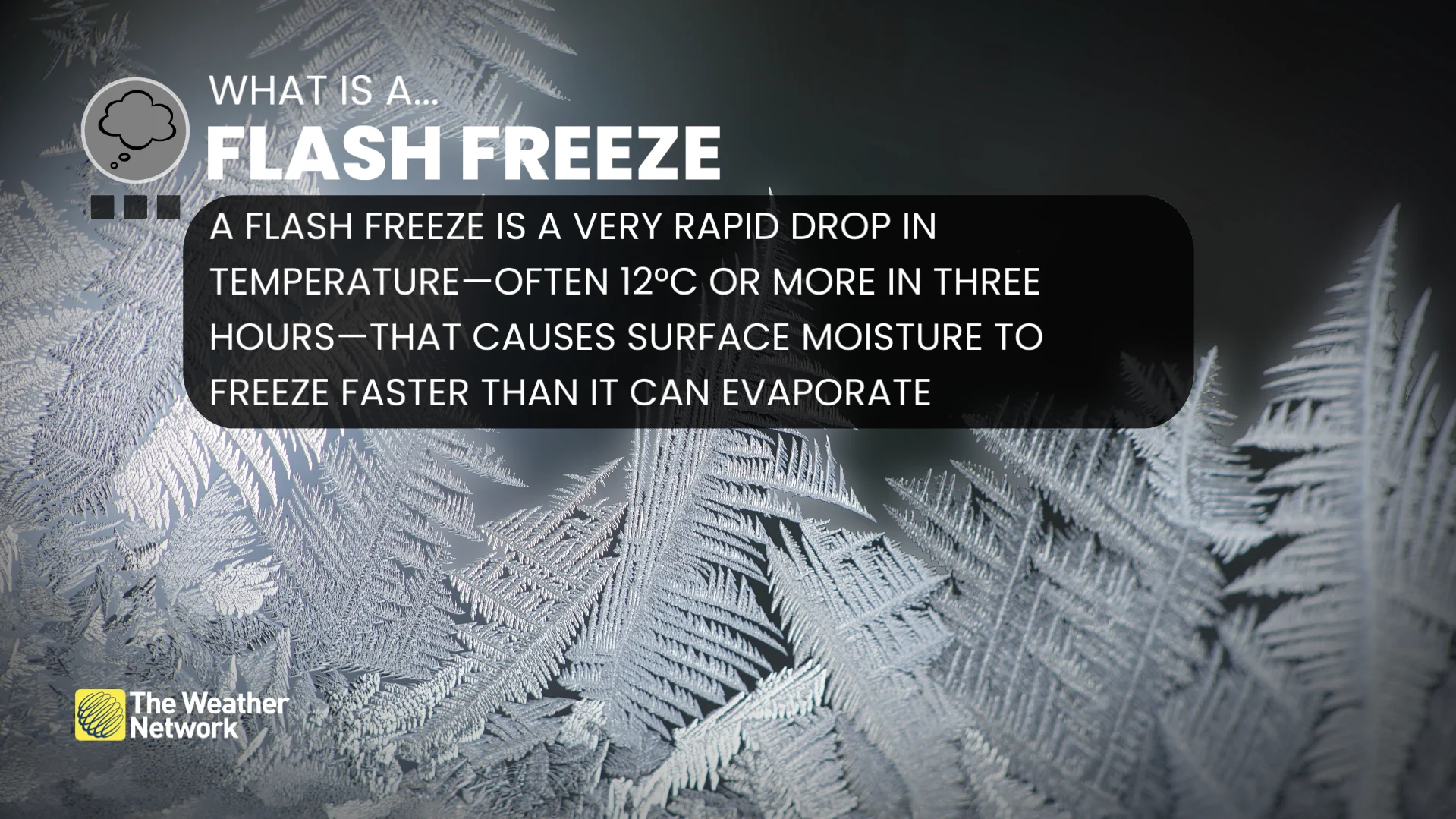A 20°C temperature crash is coming. Find out who will see the steepest ...