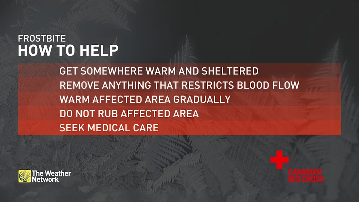 Red Cross: Beware of cold-related emergencies. How to stay safe during ...