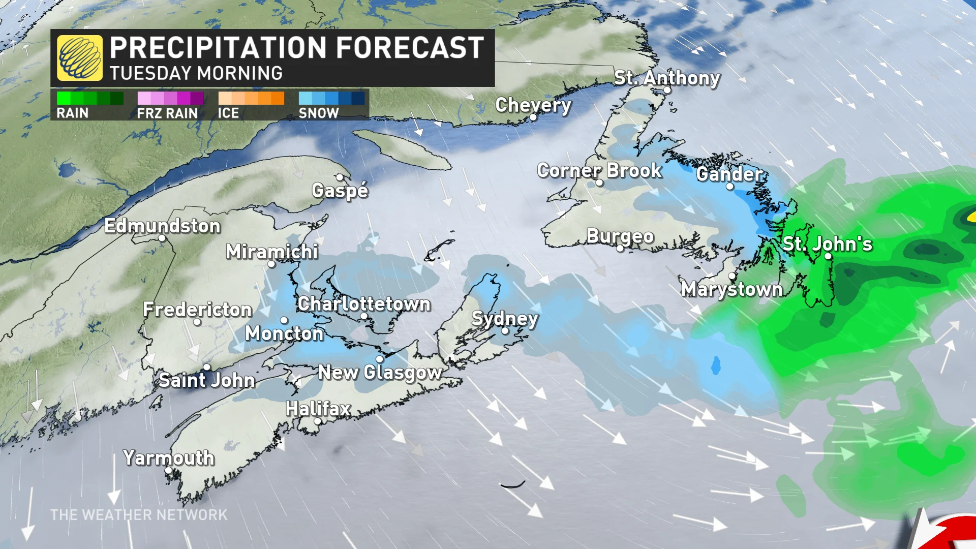 Nova Scotia digs out after epic snowfall as storm heads to Newfoundland ...