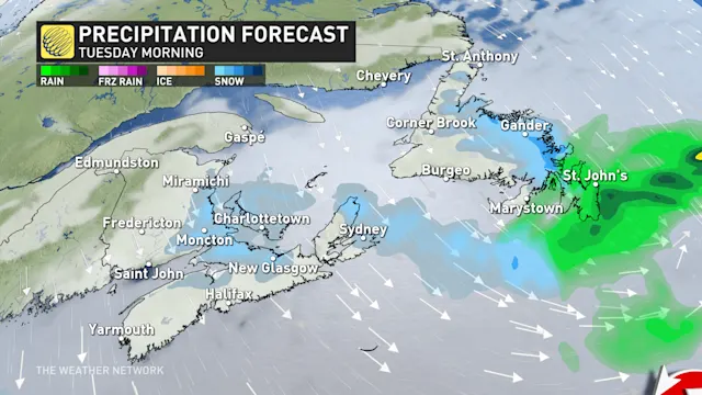 Nova Scotia digs out after epic snowfall as storm heads to Newfoundland ...