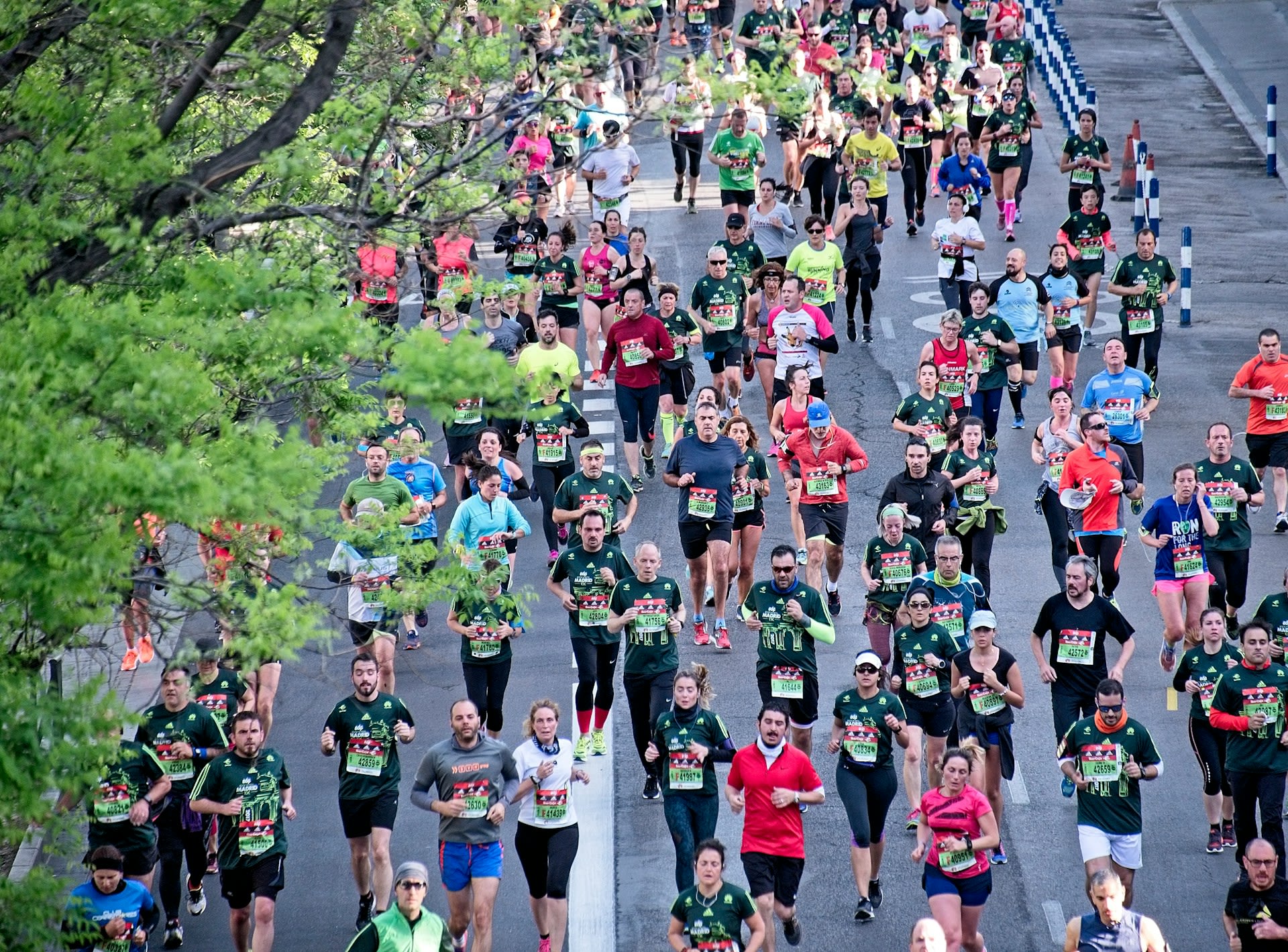 Quelle est la température idéale pour courir un marathon? - MétéoMédia