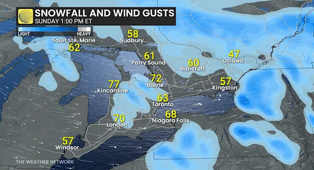 40 cm, dangerous driving amid southern Ontario snow squalls - The ...