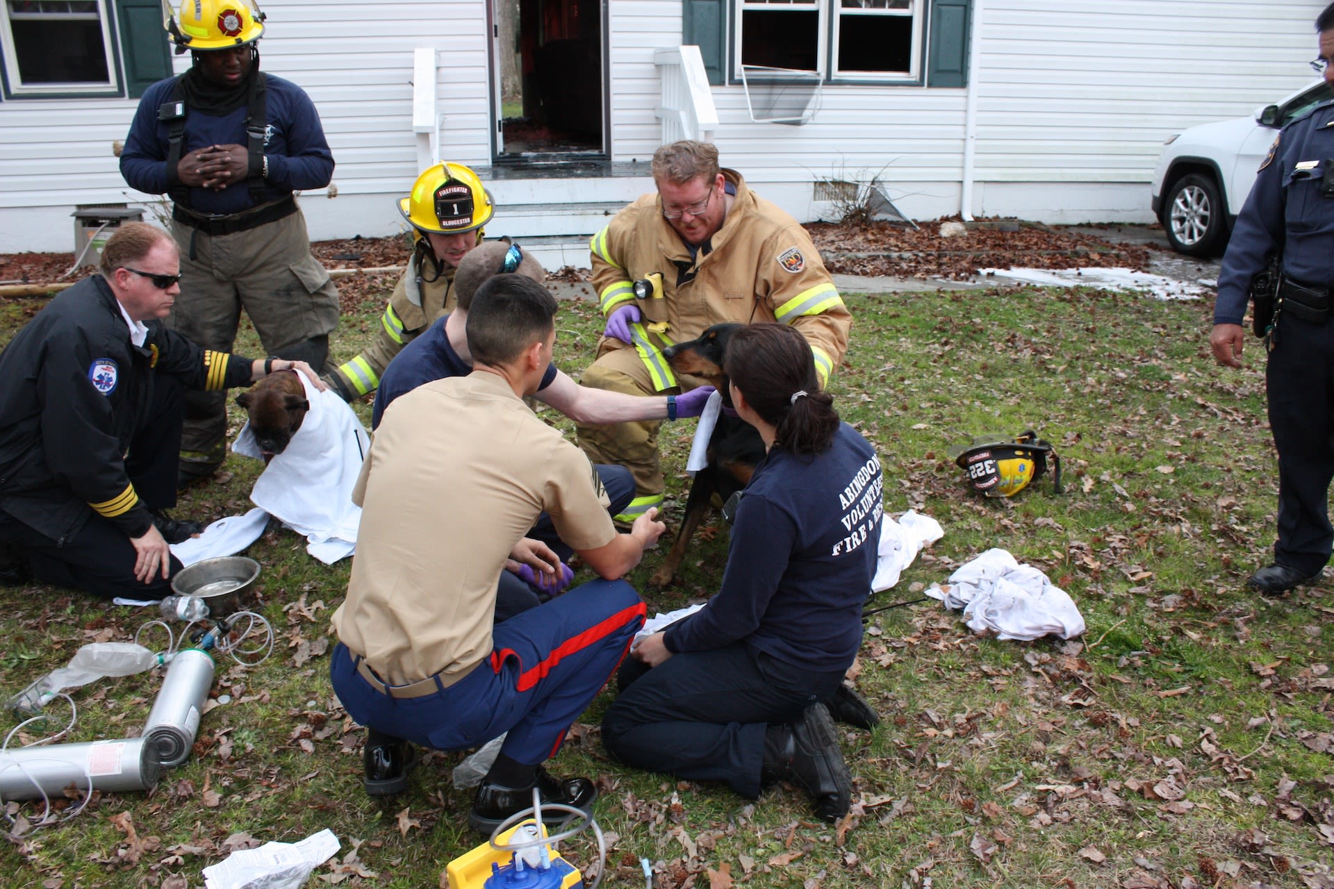 Tips to ensure you leave no animal behind when fleeing a wildfire - The ...