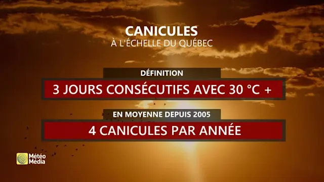 La première canicule de l’année : ça commence maintenant - MétéoMédia