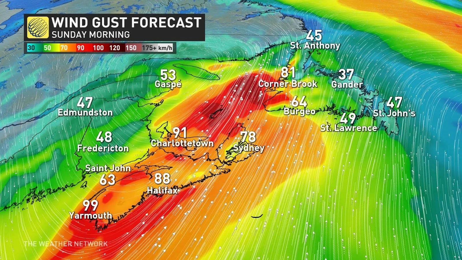 Powerful winter storm continues hammering Maritimes into Sunday - The ...