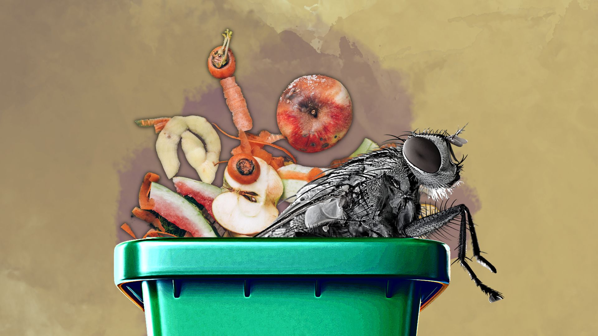 Prevent maggots from overtaking your green bin with these game-changing ...