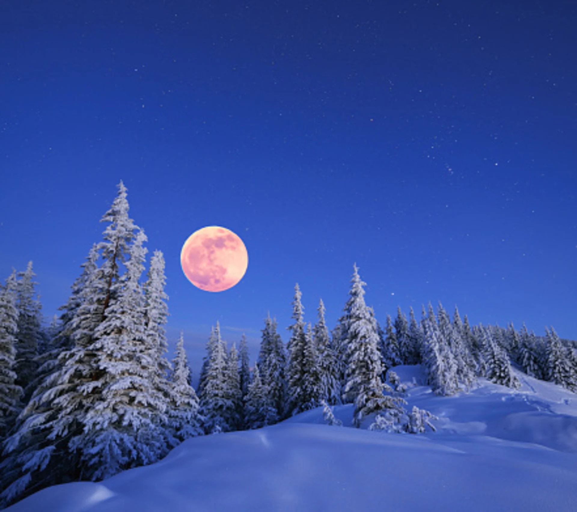 The fascinating significance behind our winter solstice celebrations ...