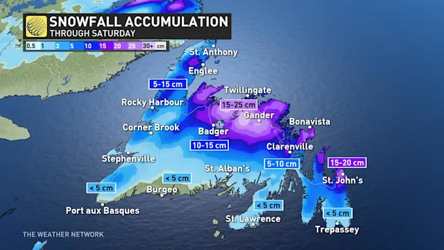 Moseying storm buffets Newfoundland with heavy snow, high winds - The ...