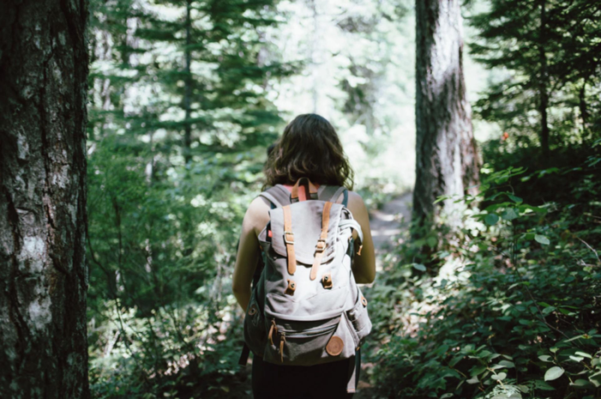 Spring hikes: Unique risk factors you should be mindful of - The ...