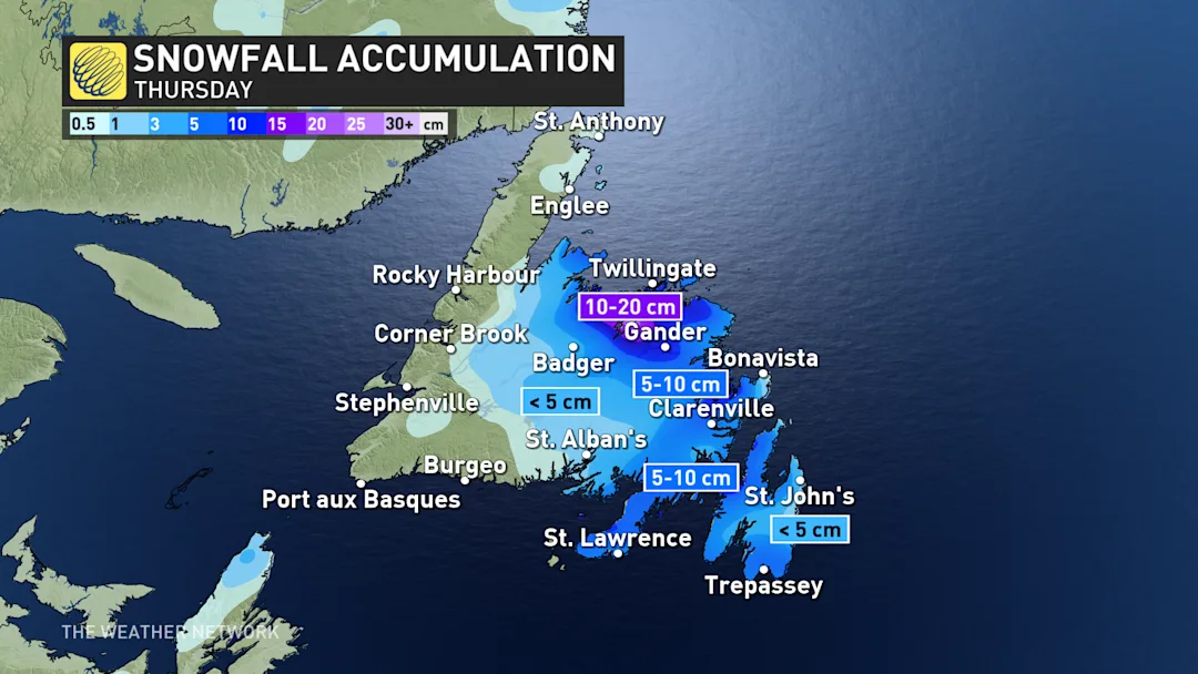 Brief, but intense winter weather wallops Newfoundland Thursday - The Weather Network